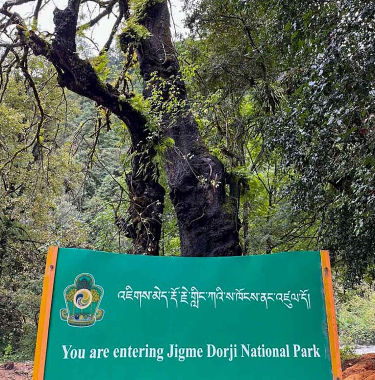 Jigme Dorji National Park - Tour Bhutan